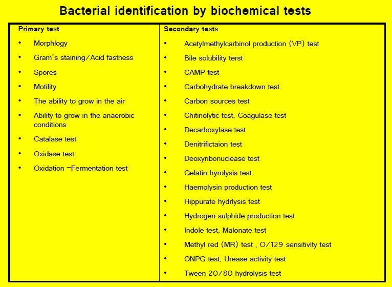 Microbiology: 2019