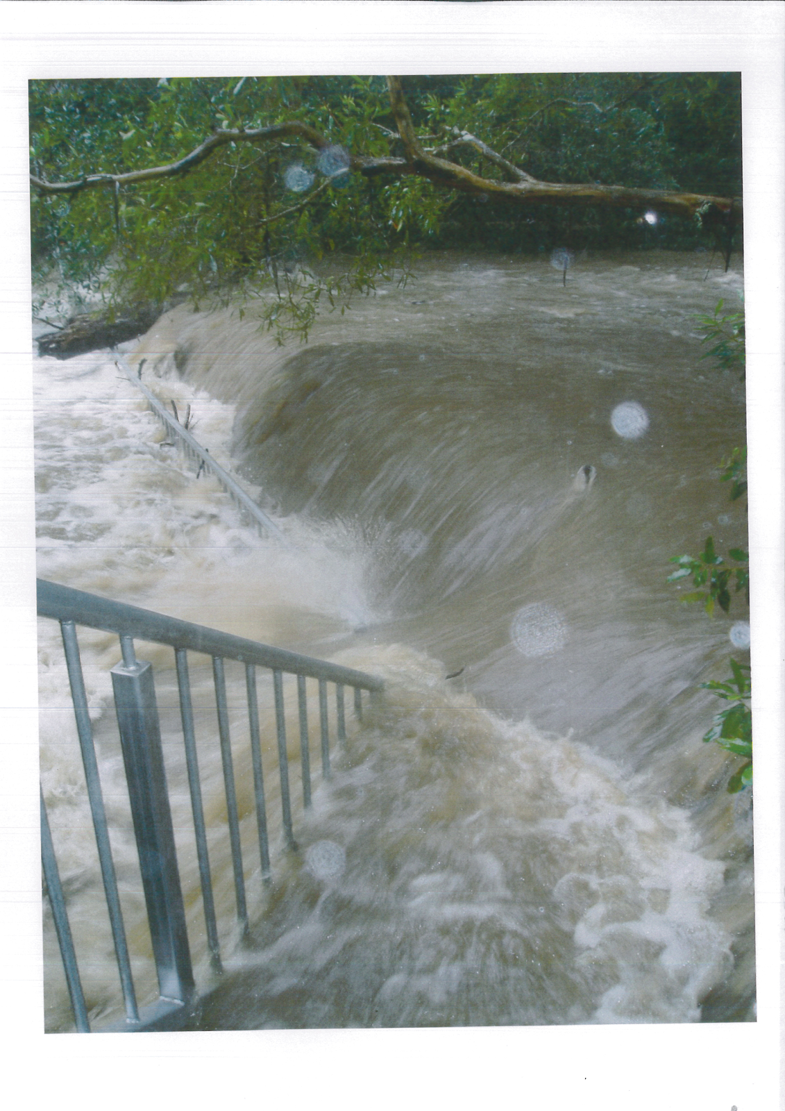 Bomaderry Creek Walk -Shoalhaven Asset: Photos