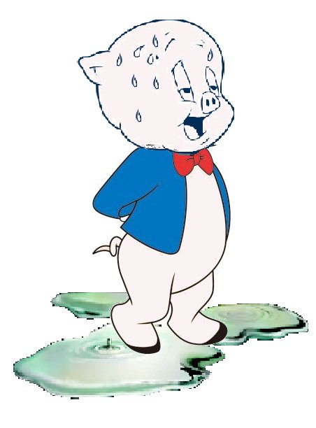 INTERESTING THINGS: Sweating Like a Pig and Other Facts