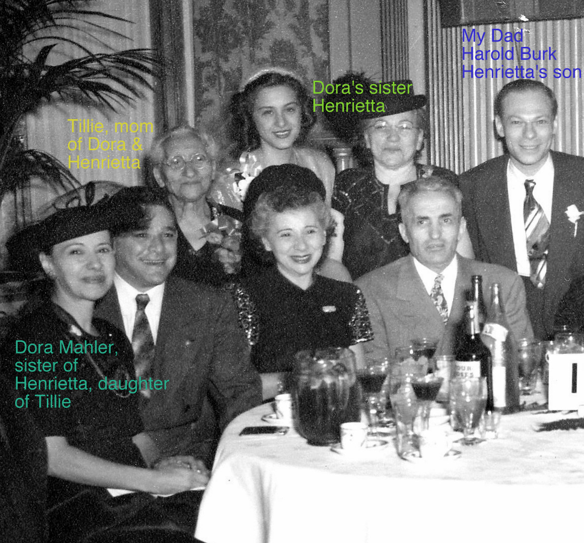 Climbing My Family Tree: Search for Maiden Aunt Dora Leads to New Discovery