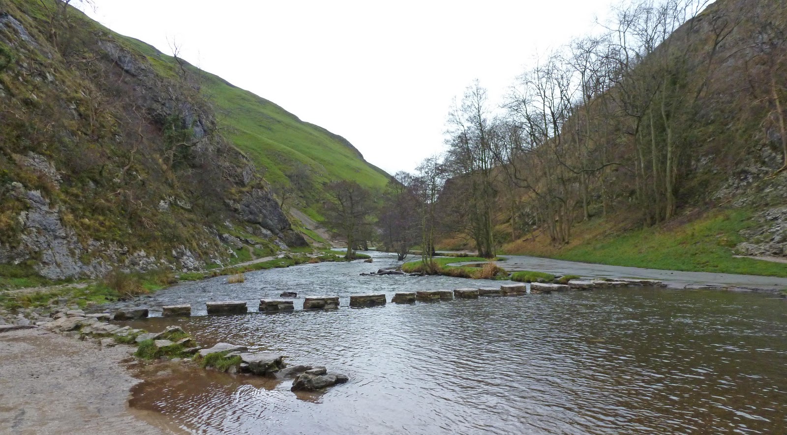 COLNE VALLEY BIRDER: Dovedale
