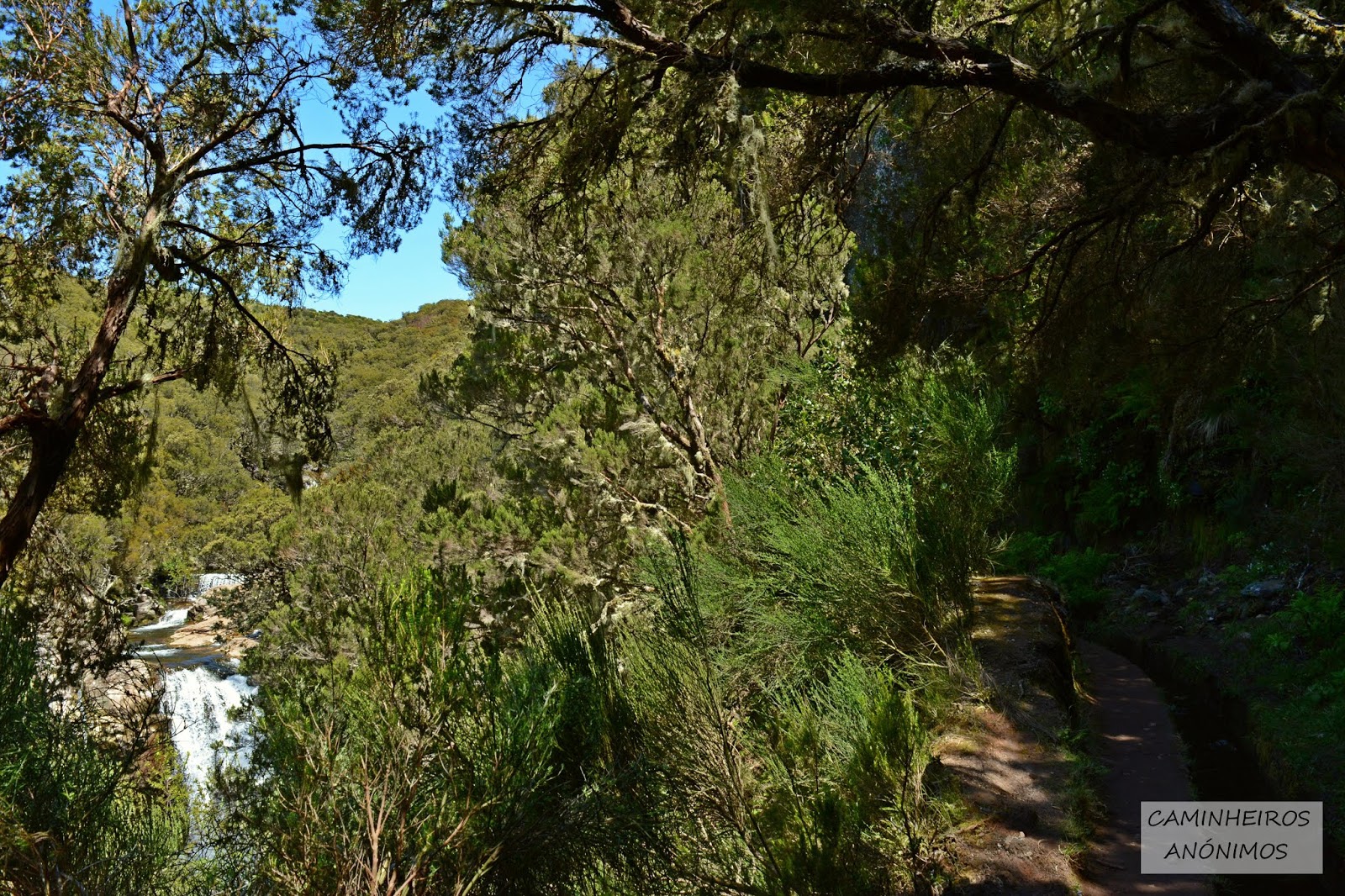 Caminheiros Anónimos Levadas da Madeira : Levada Grande do Paul (Calheta)
