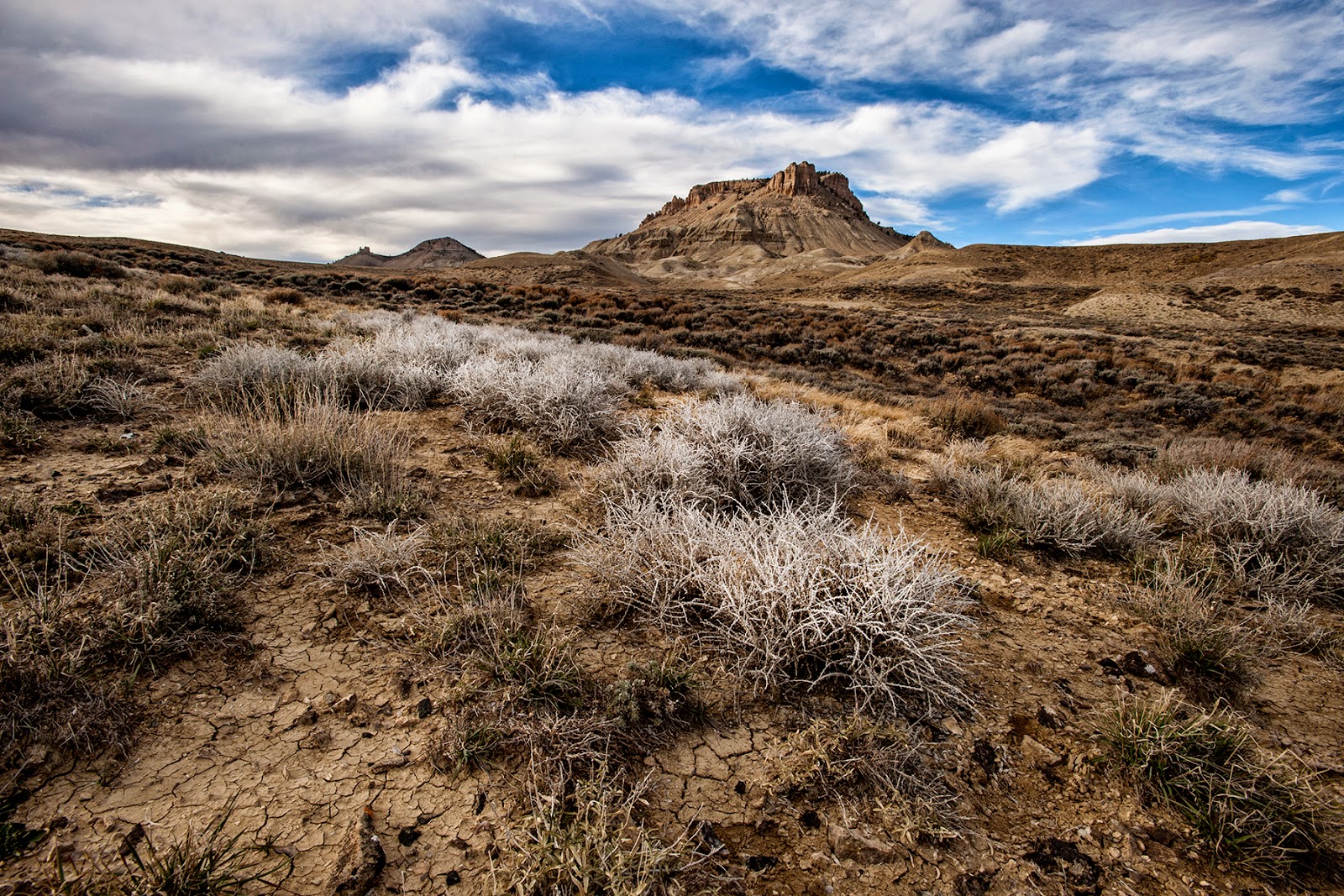 The Booby Hatcher: Empty Space