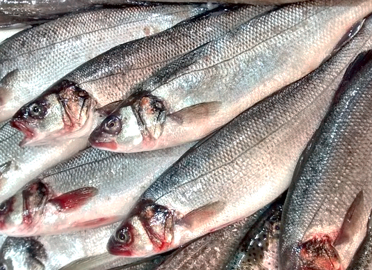 Gratis Receta de cocina de Jurel a la Mediterránea paso a paso ~ La ...