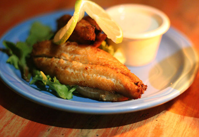 Life under the blue water : Flying Fish – a fish that have the power of ...