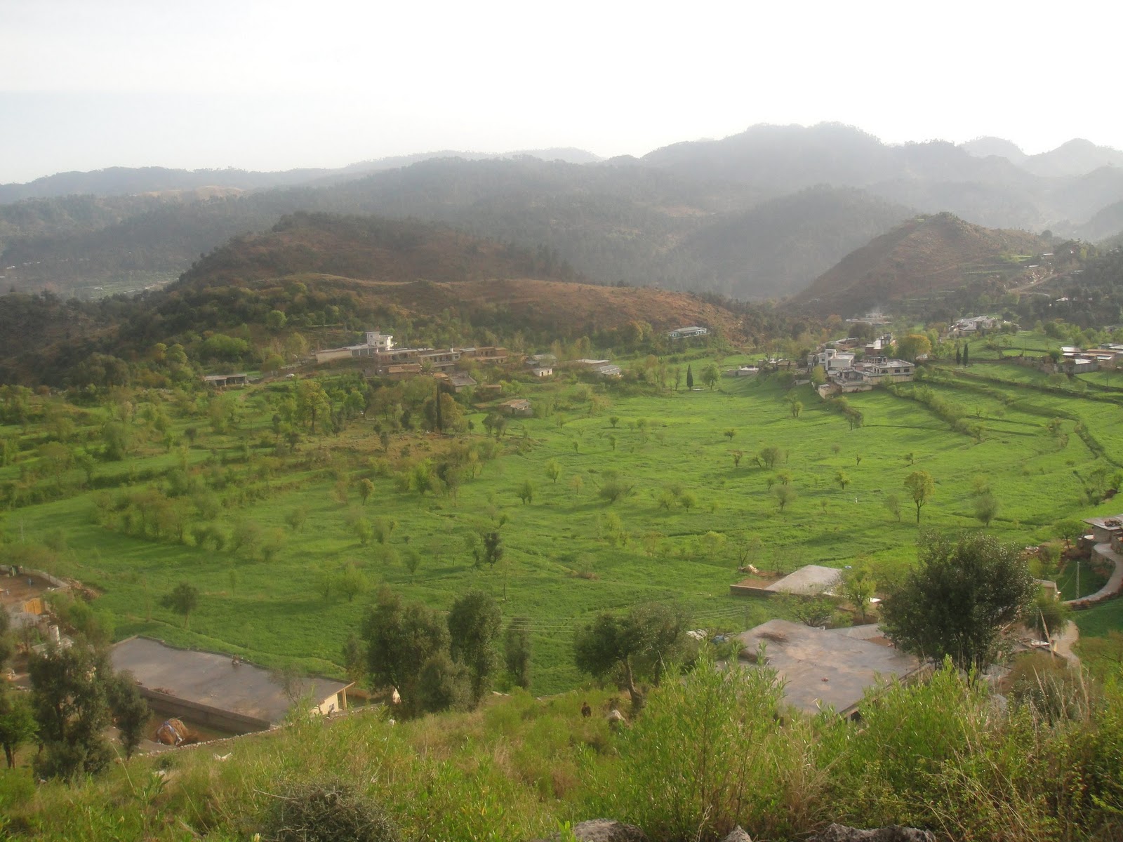 Hazara Haripur Jabri ~ Jabri - Hazara Haribur Jabri KPK