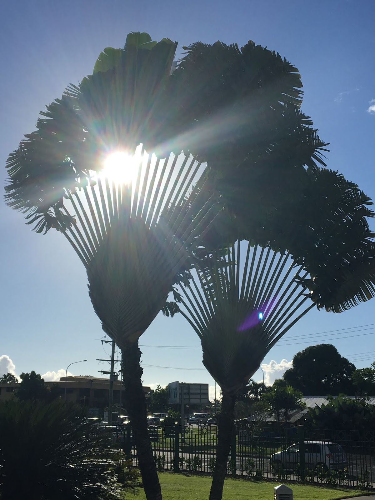 New ZimZim: Professional Development Pesega, Samoa