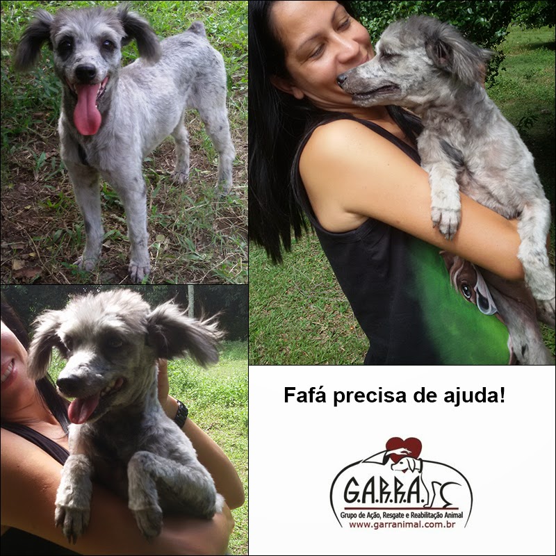 Fafá precisa ser operada com urgência!