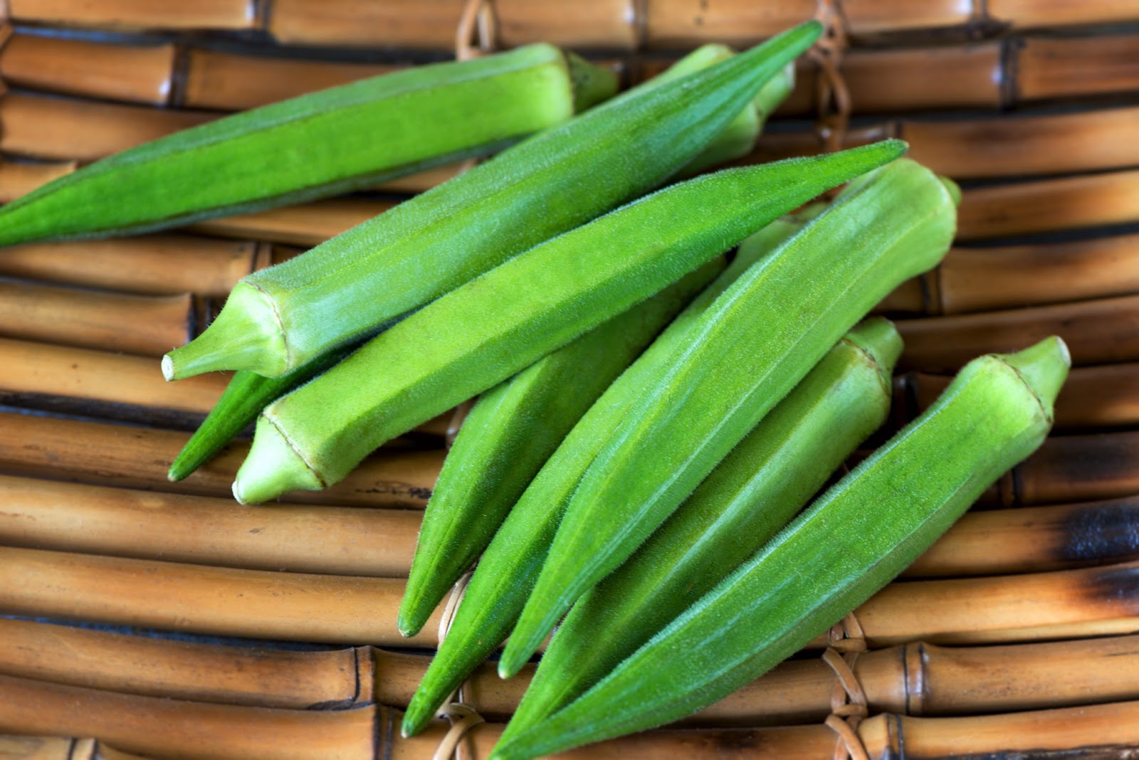 SHAMPOO DE QUIABO CASEIRO: XÕ RESSECAMENTO - Mais Estilosa