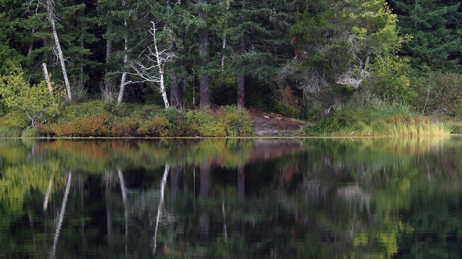 100 Lakes on Vancouver Island: Loon Lake