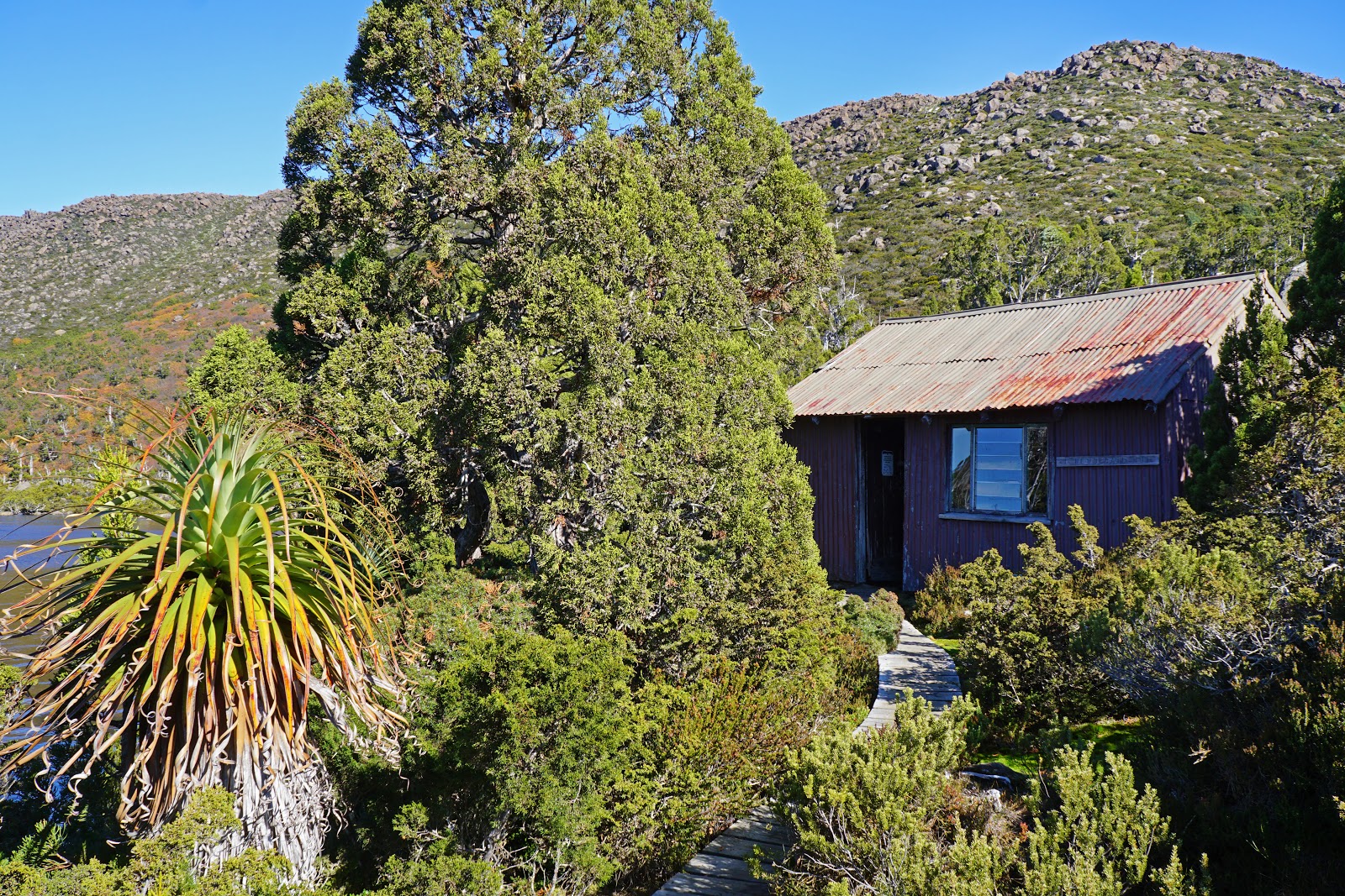 Tarn Shelf Circuit (Mount Field National Park) ~ The Long Way's Better
