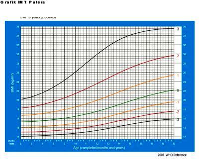 Metode Penilaian Status Gizi Anak menggunakan grafik IMT - BBC BERITA