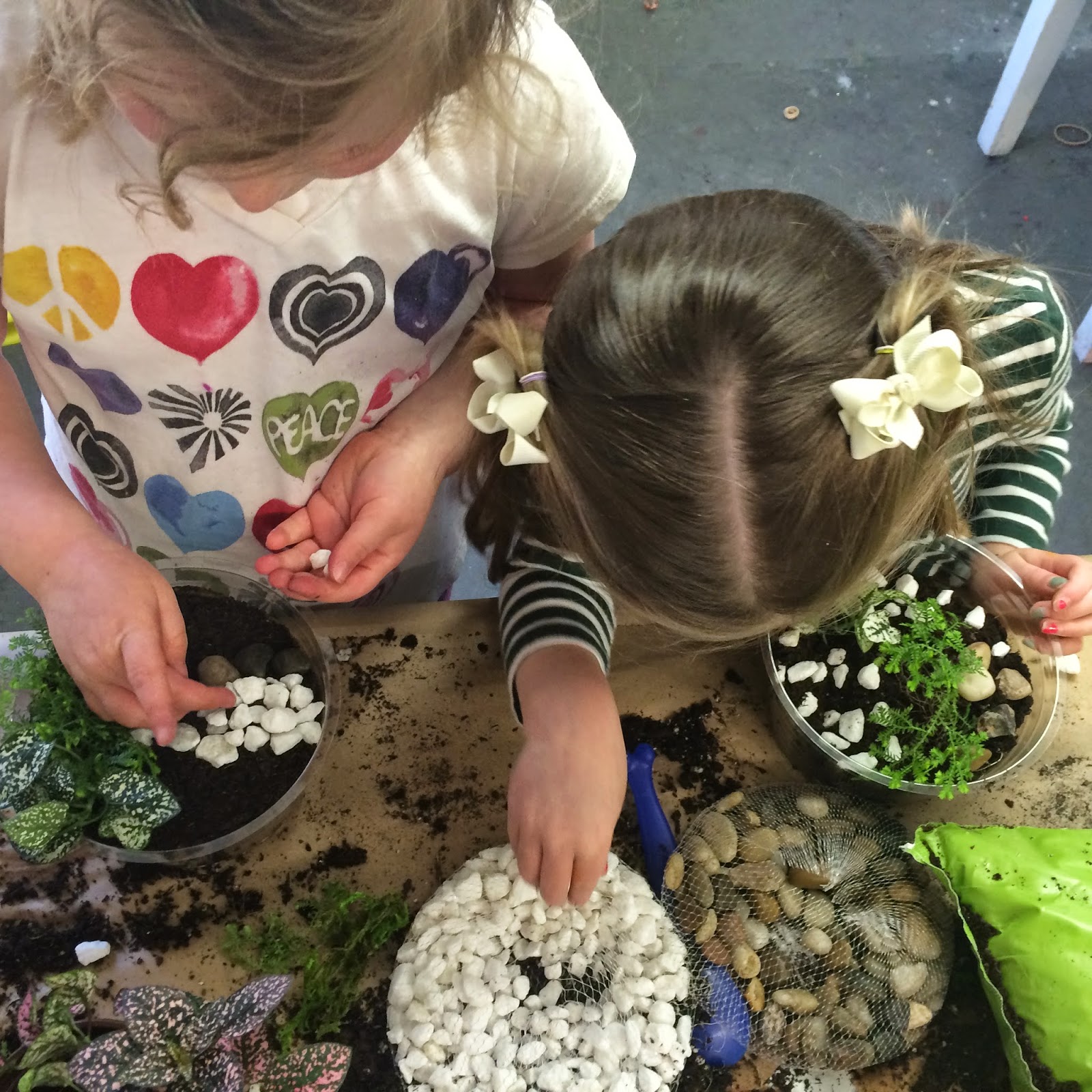 beehive ART: earth day terrariums