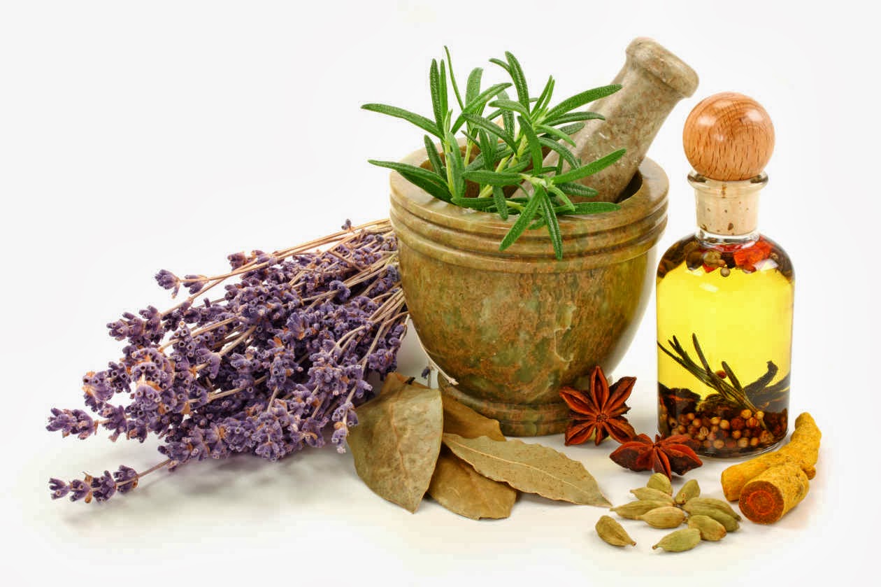 Farmacognosia: PLANTAS MEDICINALES, DEFINICIONES Y CONCEPTOS- LA SABILA