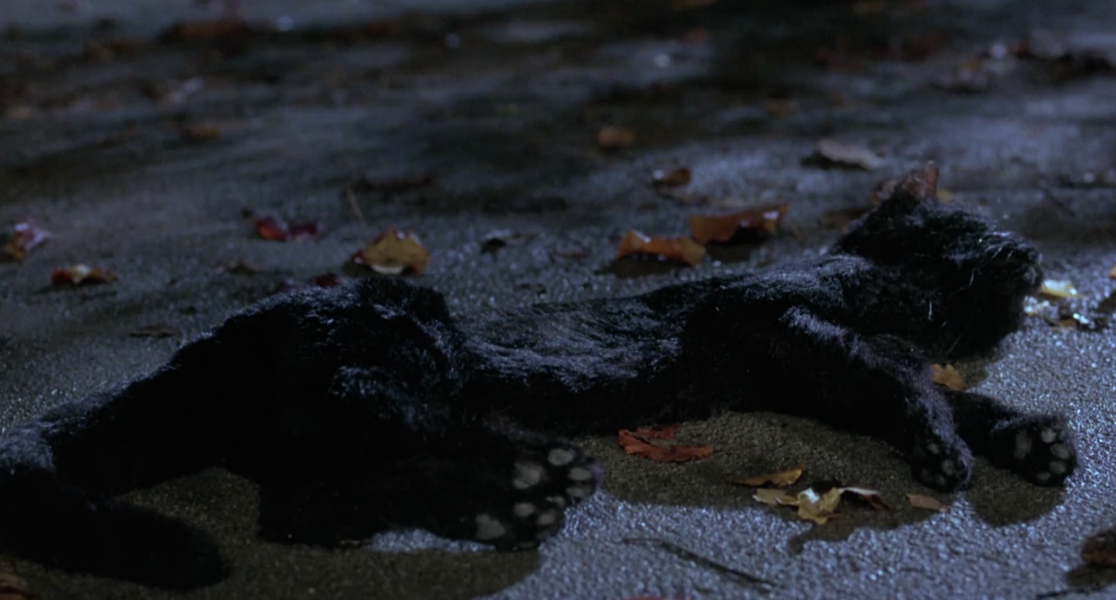 It's a Palindrome.: Watching "Hocus Pocus" for the first time - At 24 ...