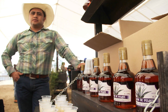 Contextos Regionales: IMPULSA SEDECO A MIPYMES EN CADENAS COMERCIALES