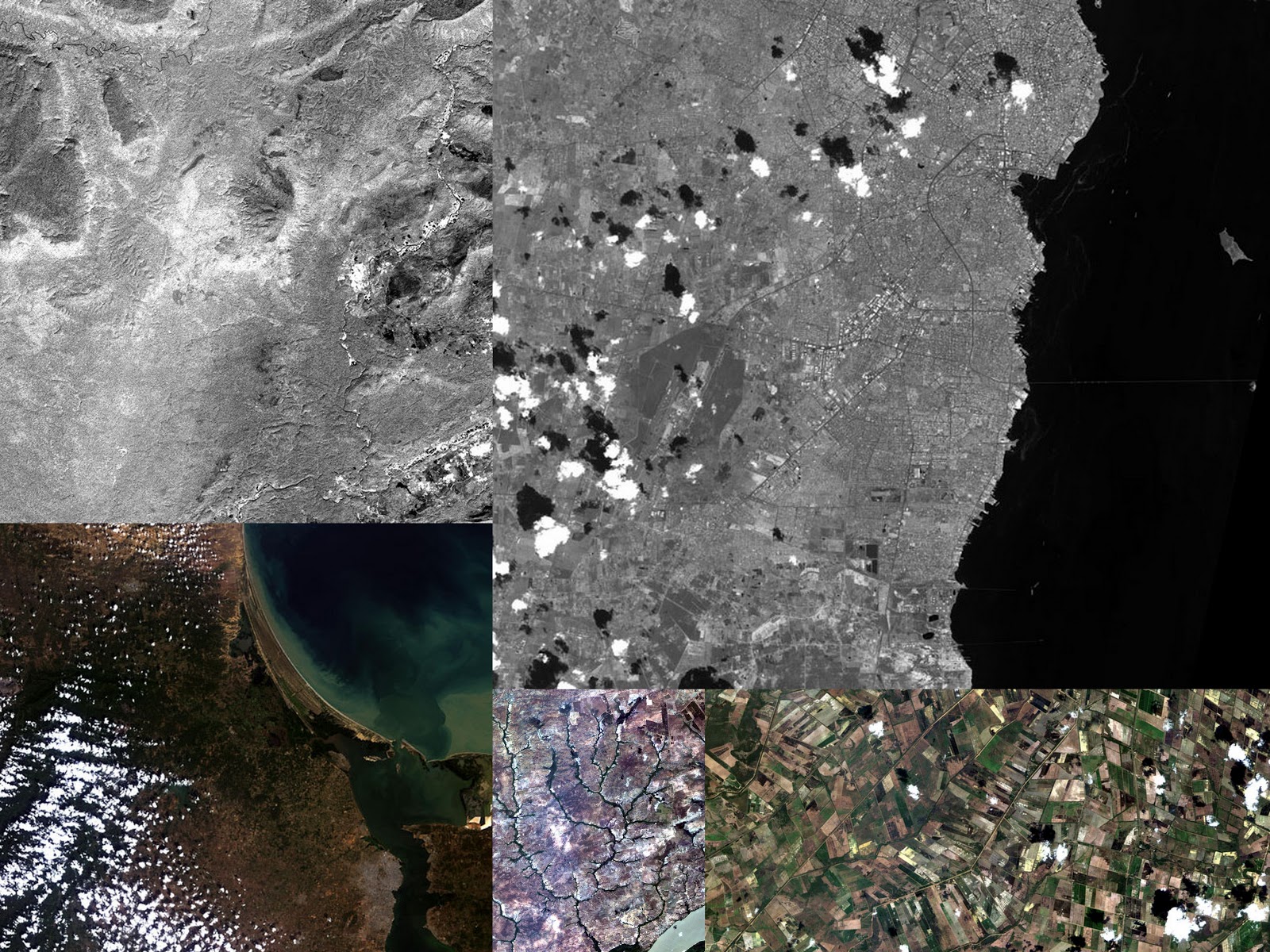 Llano Extremo un mundo megadiverso: Disponible primeras imágenes del ...