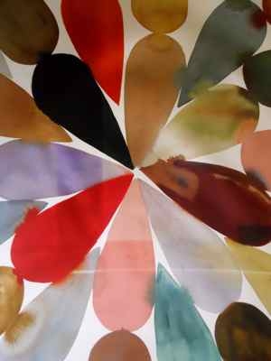 Aesthetic Oiseau: Luli Sanchez