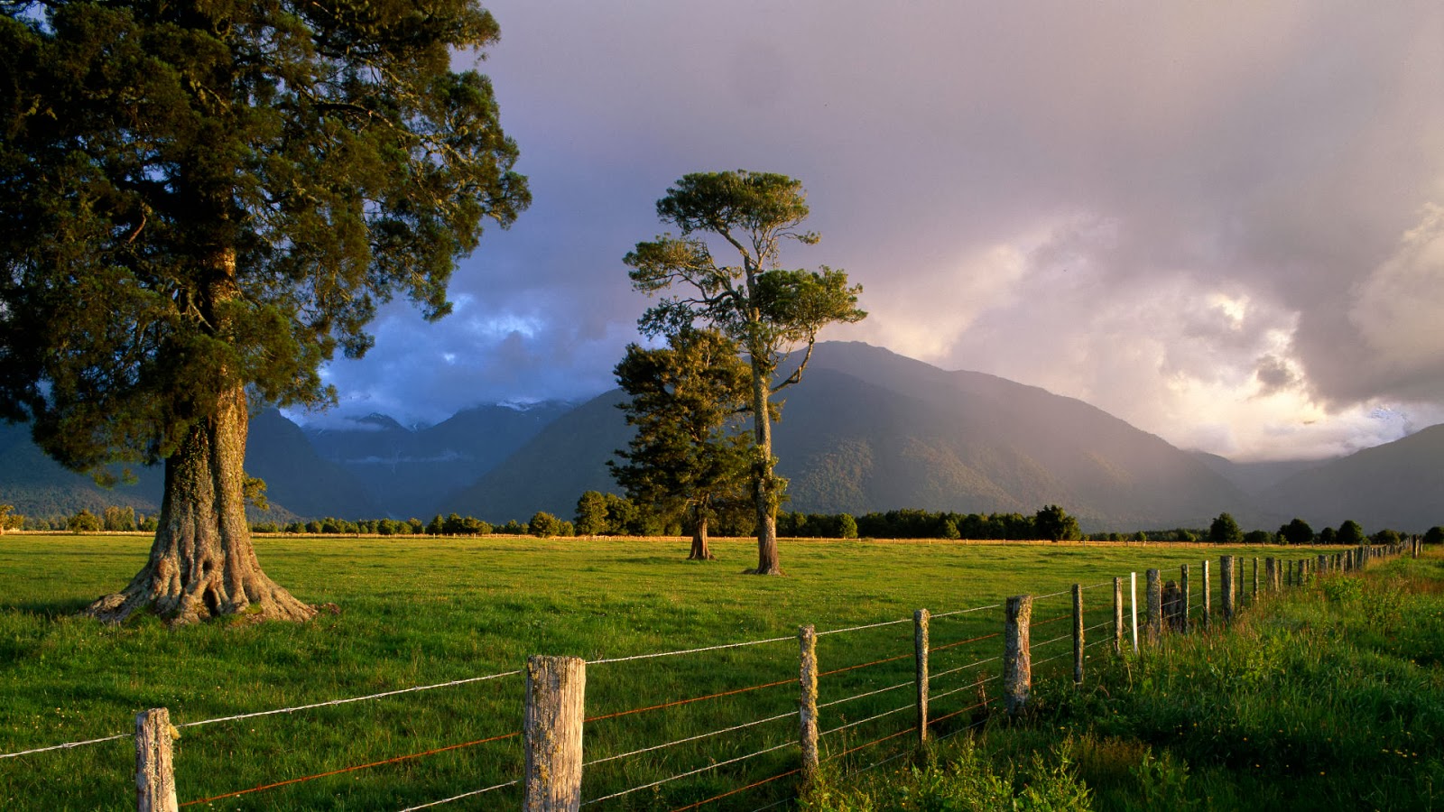 Slike iz prirode: Priroda