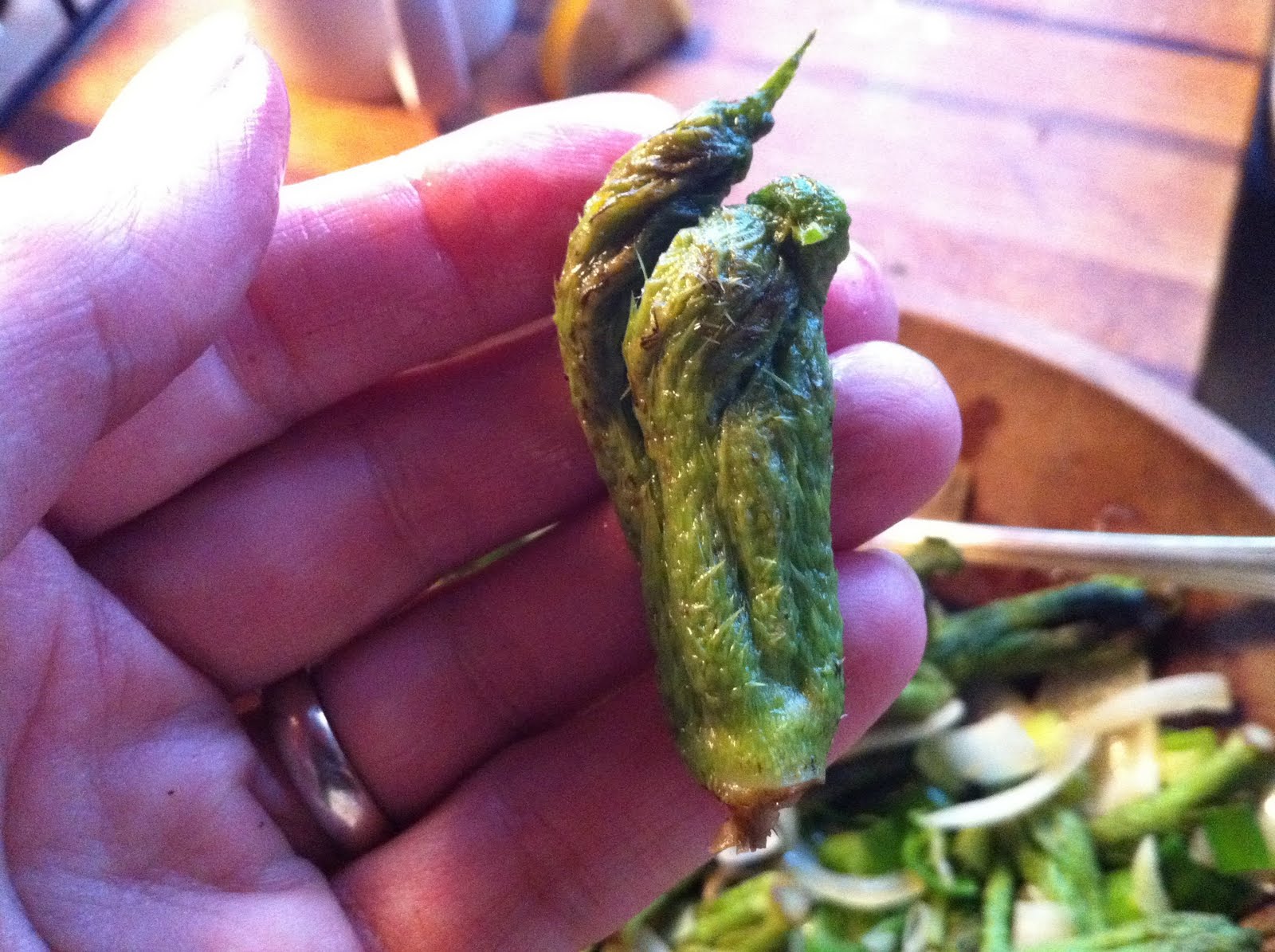 The New Hunter Gatherer: The Pleasure of New, Devil's Club and Sock Animals