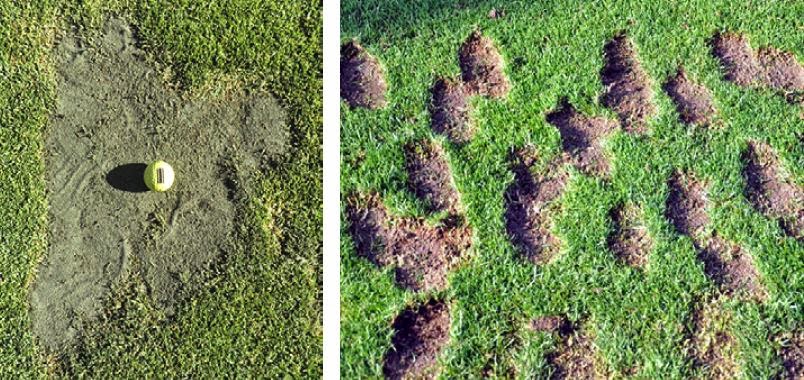 Highlands Falls Country Club Golf Course Maintenance: Proper Practice ...