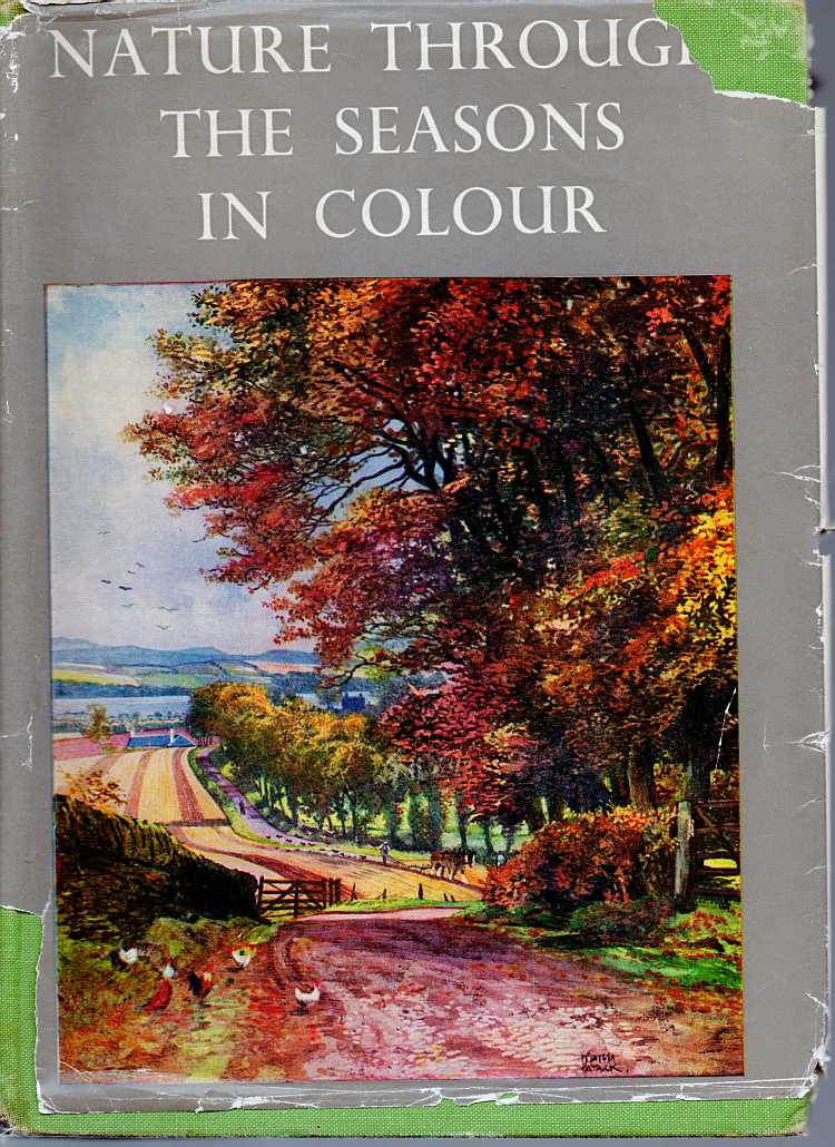 Raymond Sheppard Illustrator