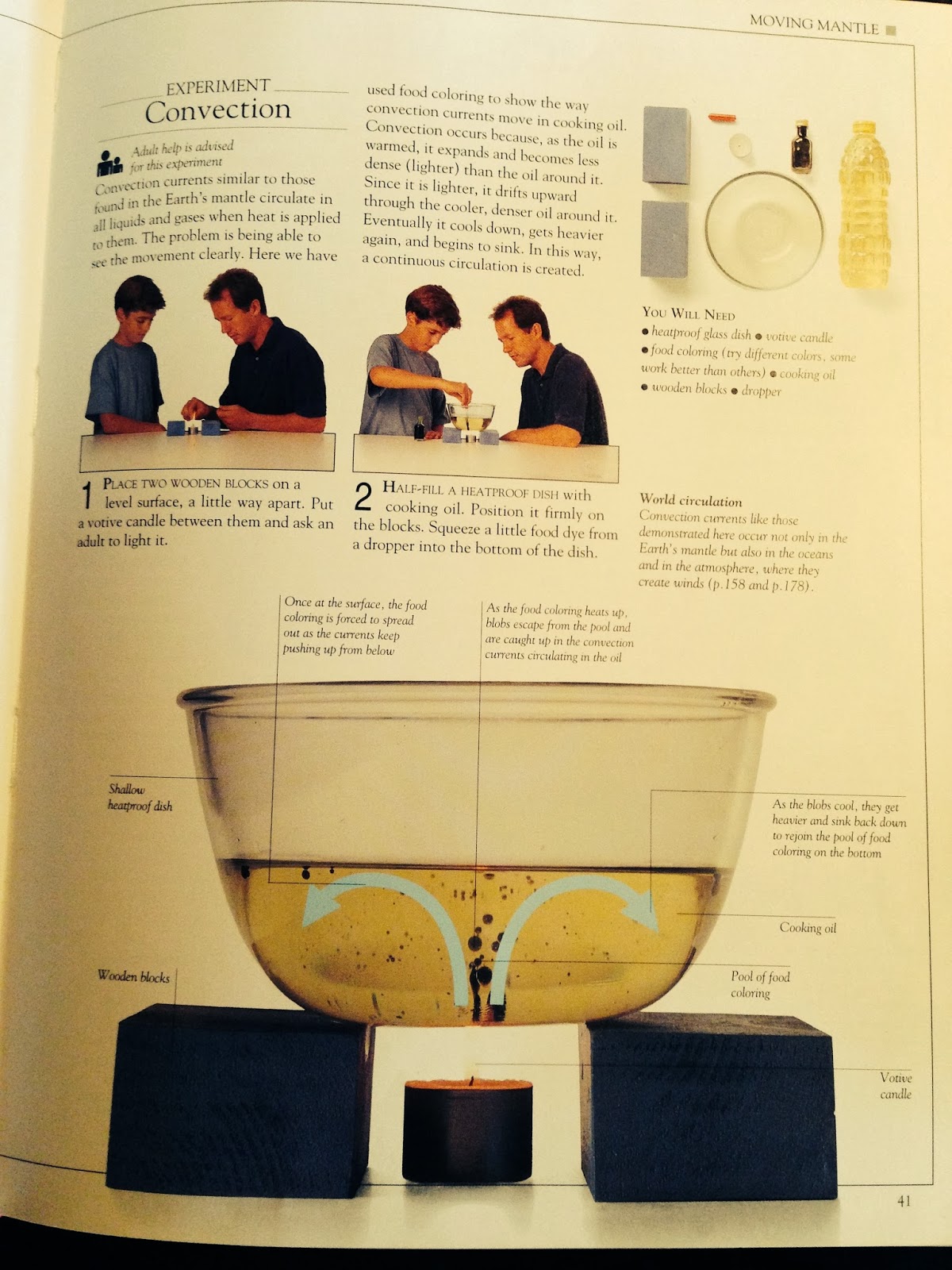 Life's Adventures: Studying Plate Tectonics
