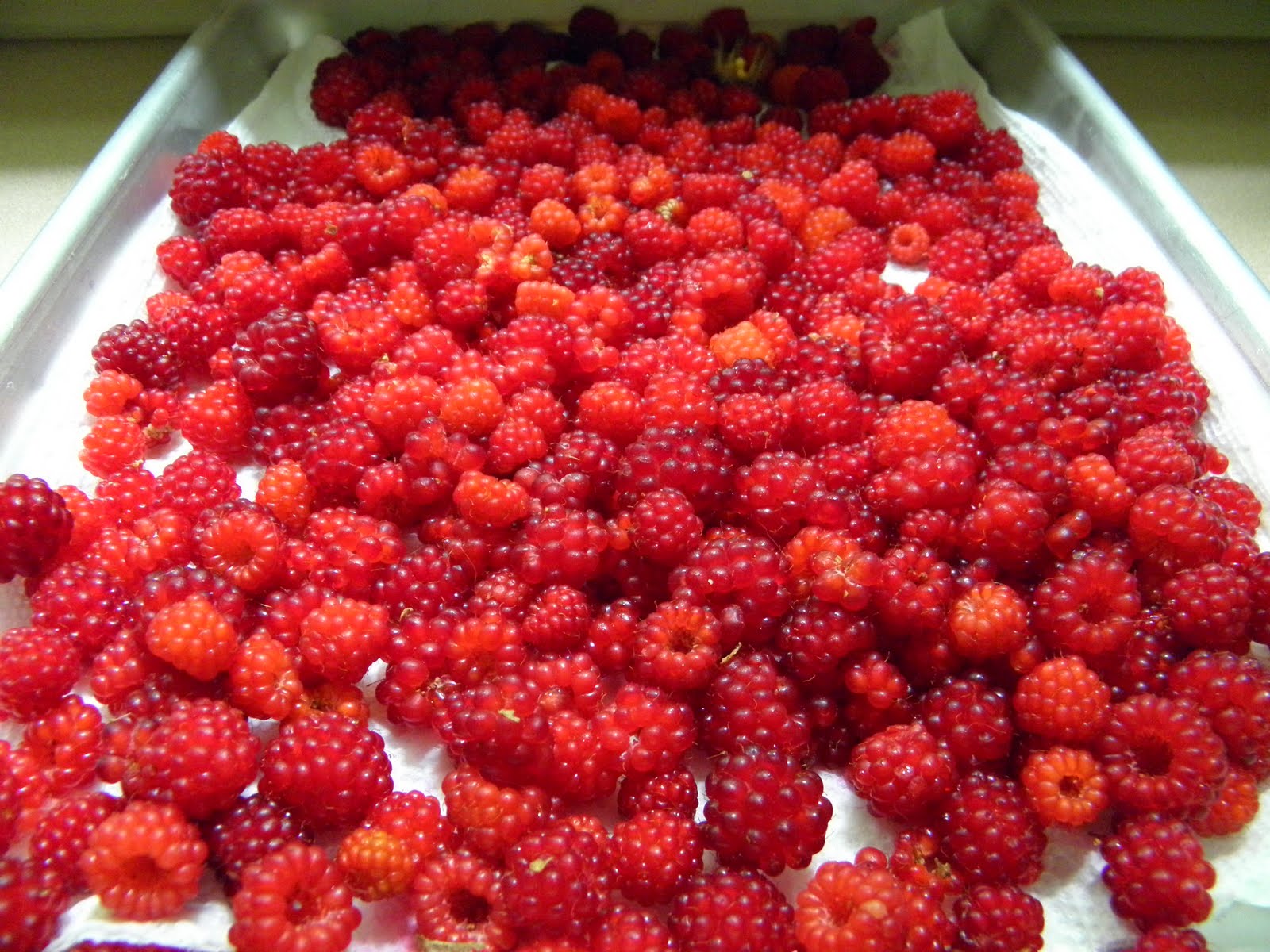 Deluxe Raspberry Tart