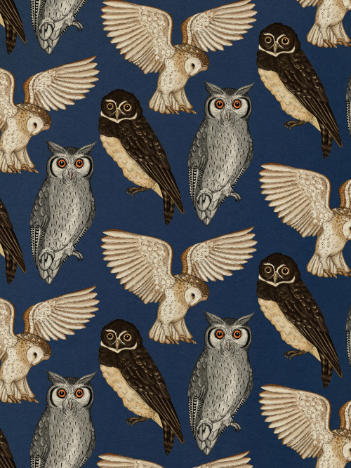 My Owl Barn: Wallpapers, Patterns and Prints by Katie Scott