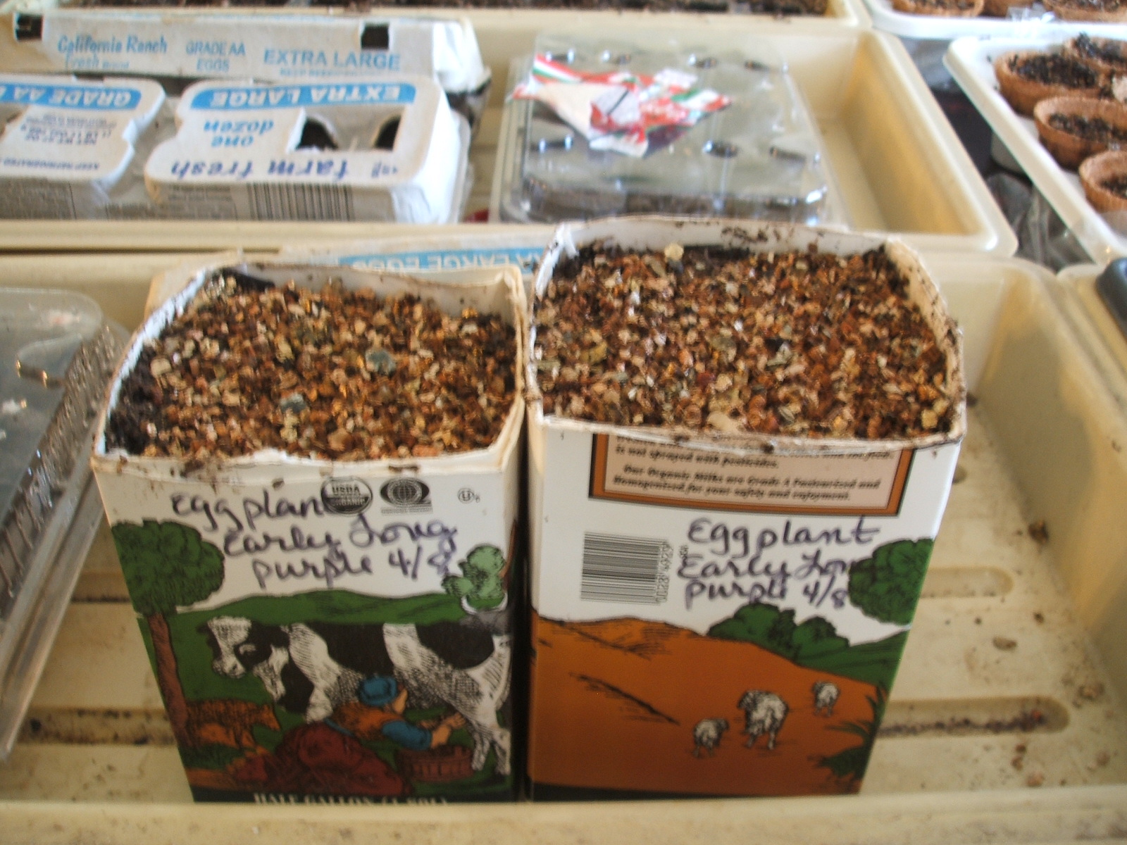 Frugal Garden Girl: Recycled Seed Starting Pots