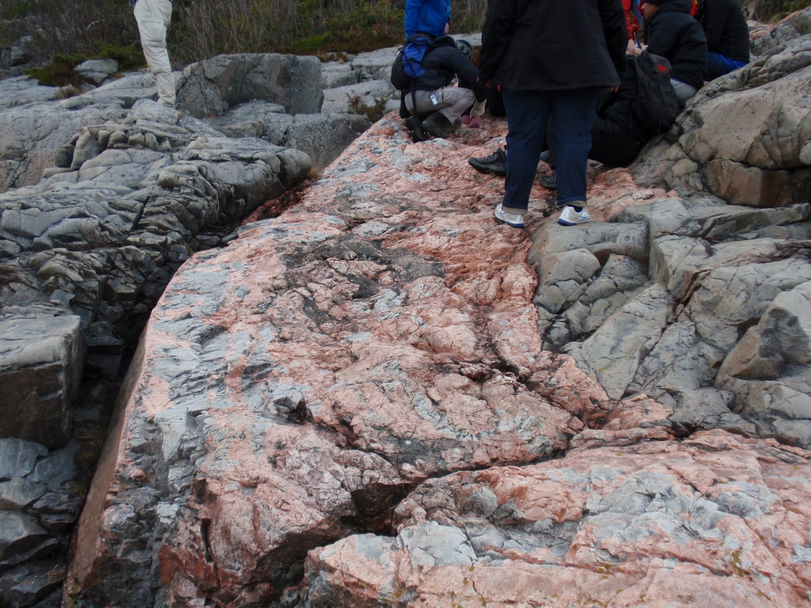 Weird & Wonderful: Hard rock geology at Väddö