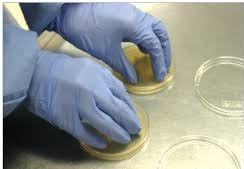 SOP for Personnel Monitoring by contact plate method in controlled area ...