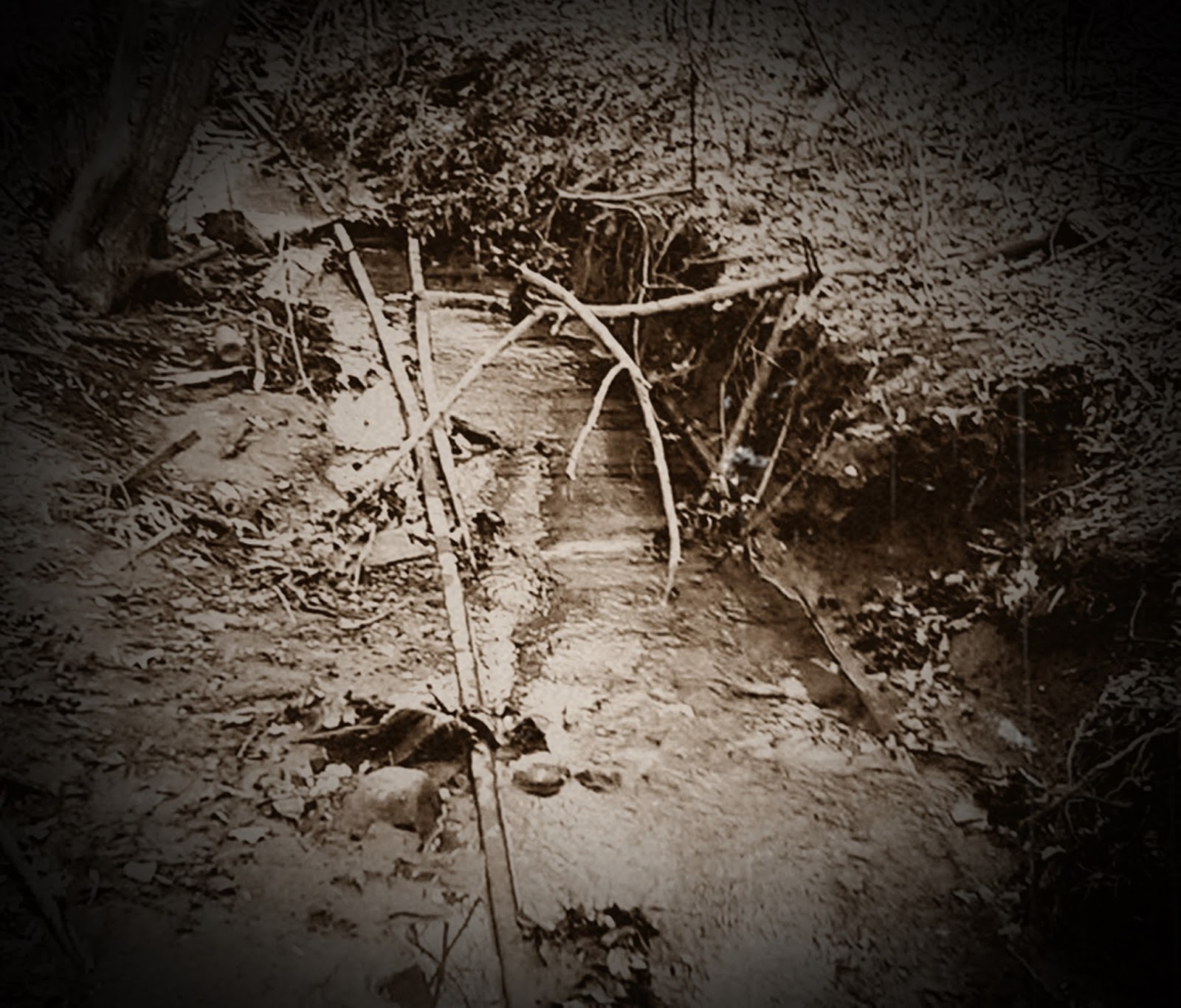 ricgrass: The Hinky Dinks