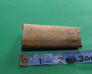 The Colorado Geographer: Baculite Mesa