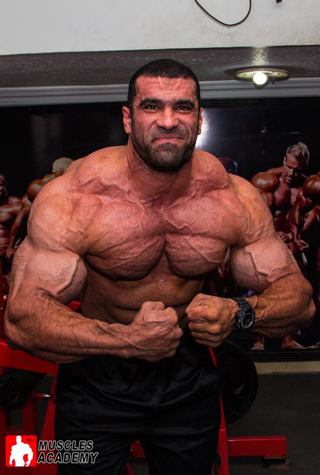Muscle Lover: Egyptian muscle beast Ahmad El Araby