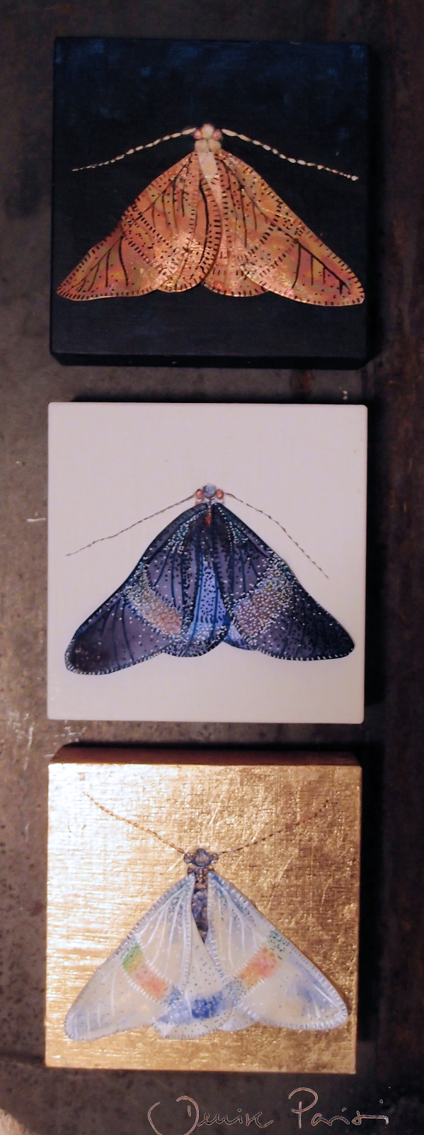 Denise Parisi: papilio aureus