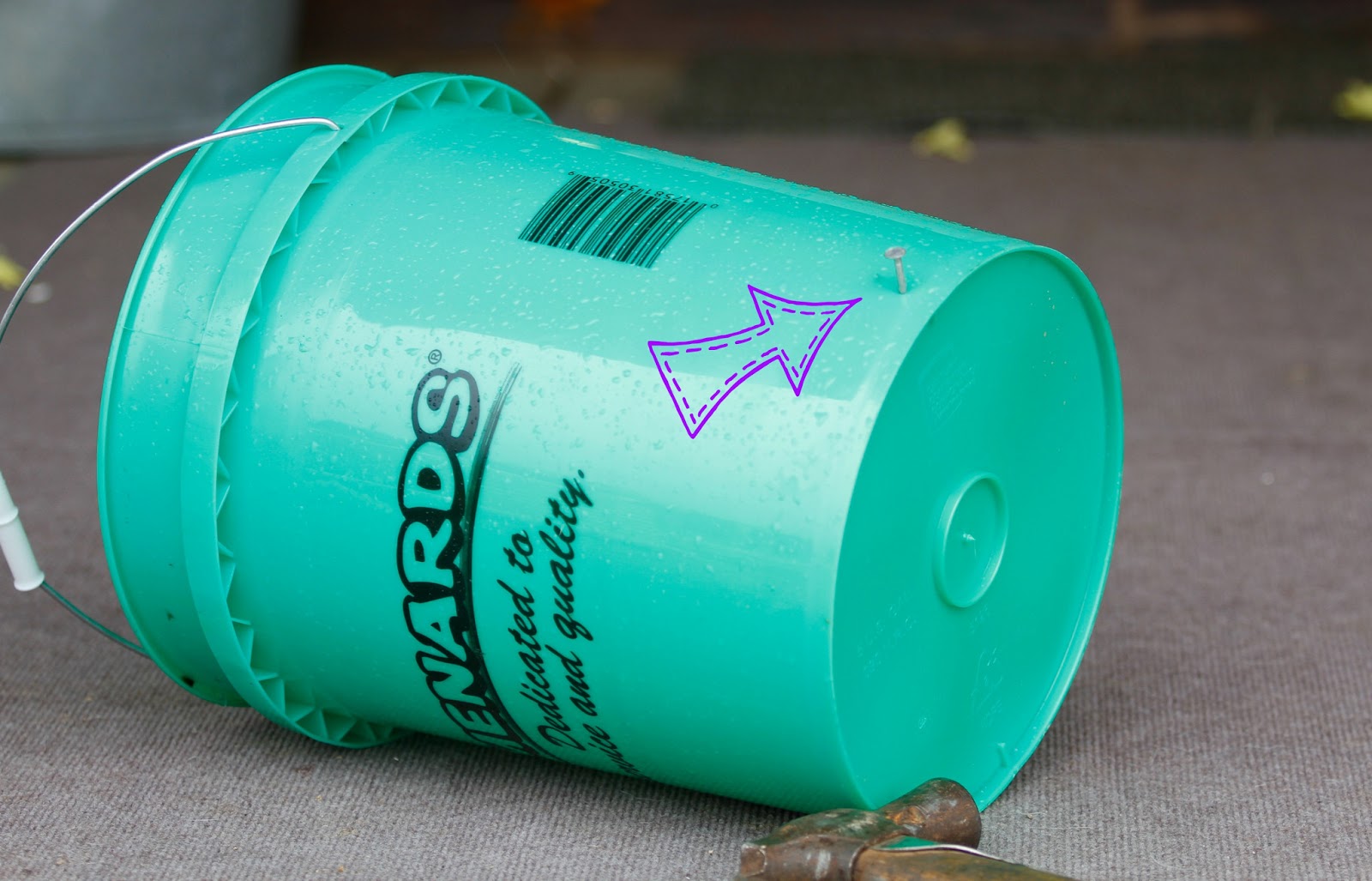 How to Water a Tree for Guaranteed Survival - CREATIVE CAIN CABIN