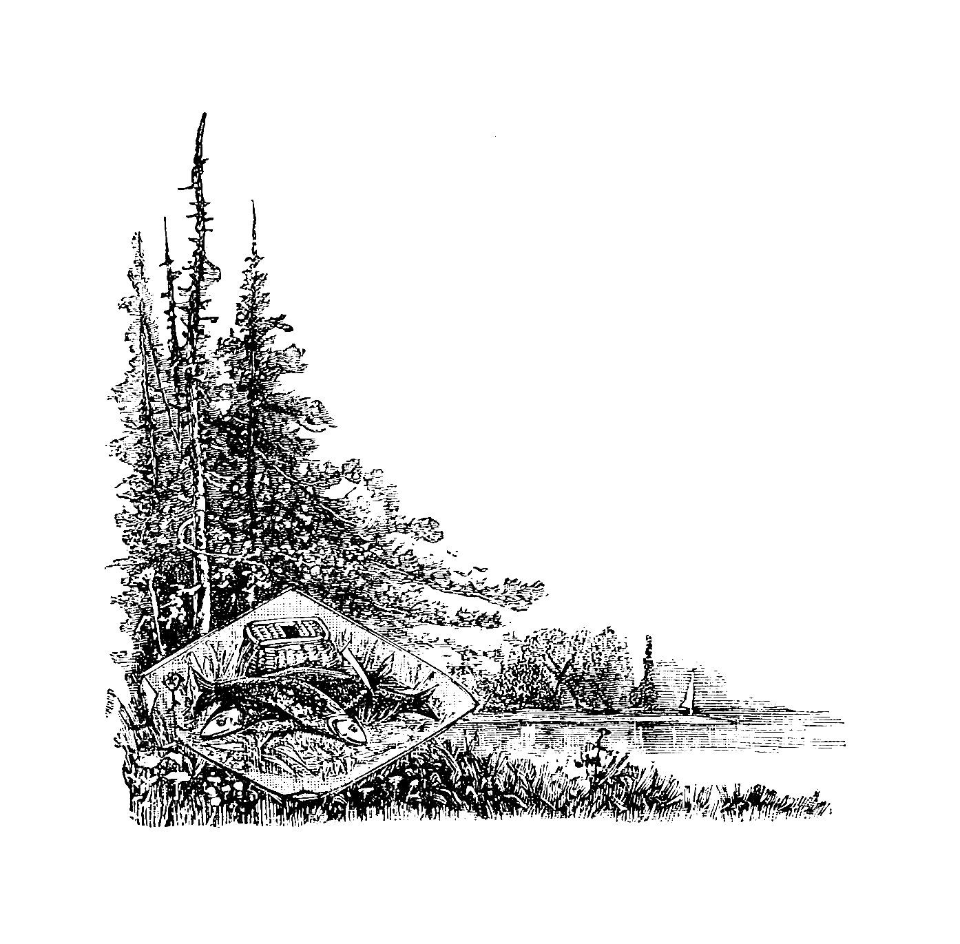 Digital Stamp Design: Free Corner Design Digital Stamp: Outdoor Camping ...