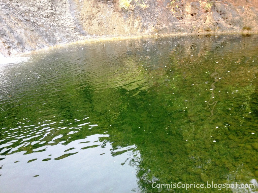 Carmi's Caprice: Jawili Falls, Kalibo Aklan