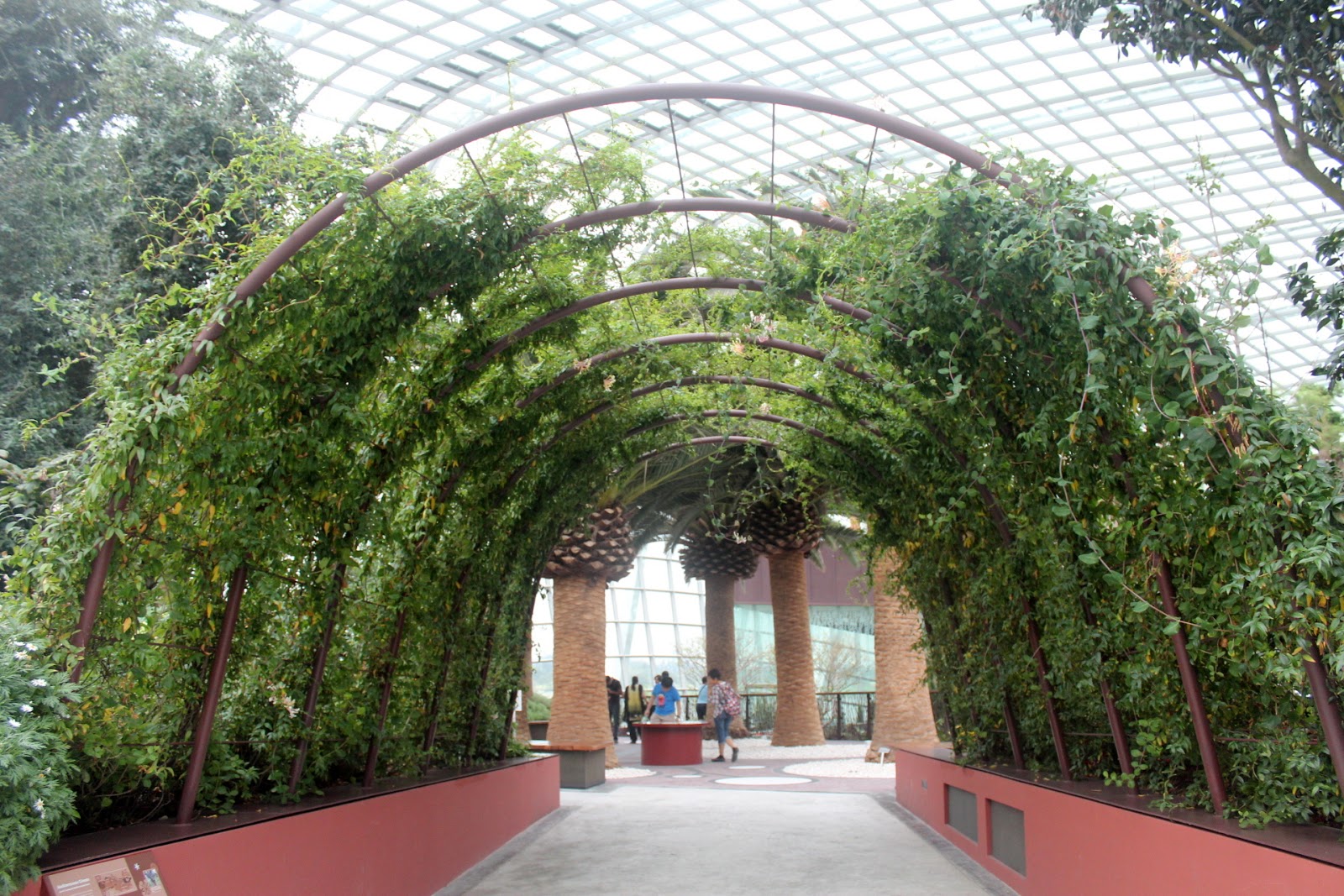 P for Phyllis: Gardens by the Bay @ Singapore