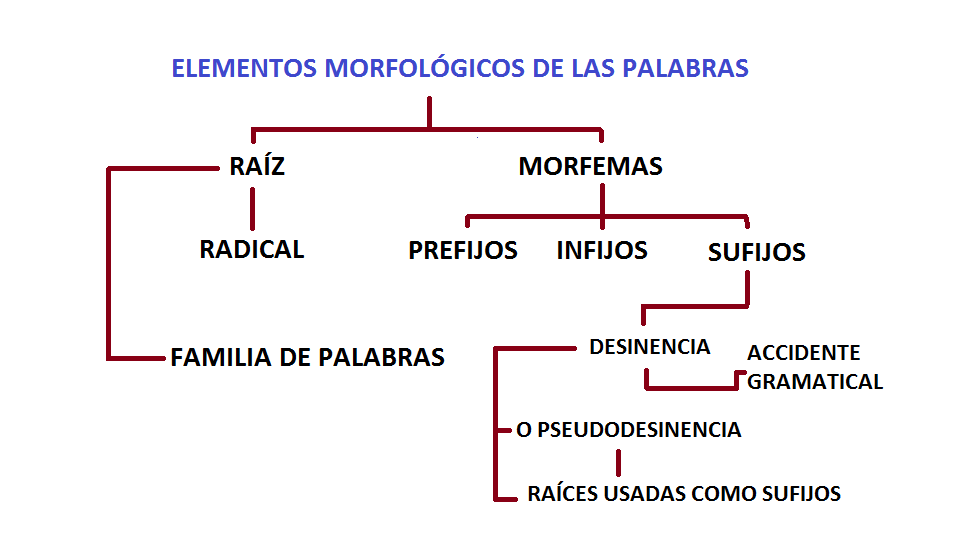 Etimologías Grecolatinas Cobay Santa Rosa: ELEMENTOS MORFOLÓGICOS