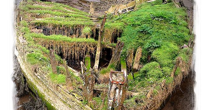Granny off the road : Le Happy Valentine de François Trinel