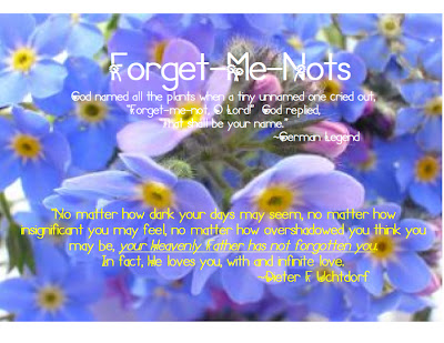 Memoirs of a Mommy: Forget Me Not.....