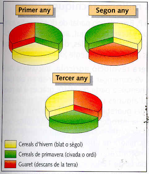 Ciències Socials. David Ripoll: 2n ESO Socials