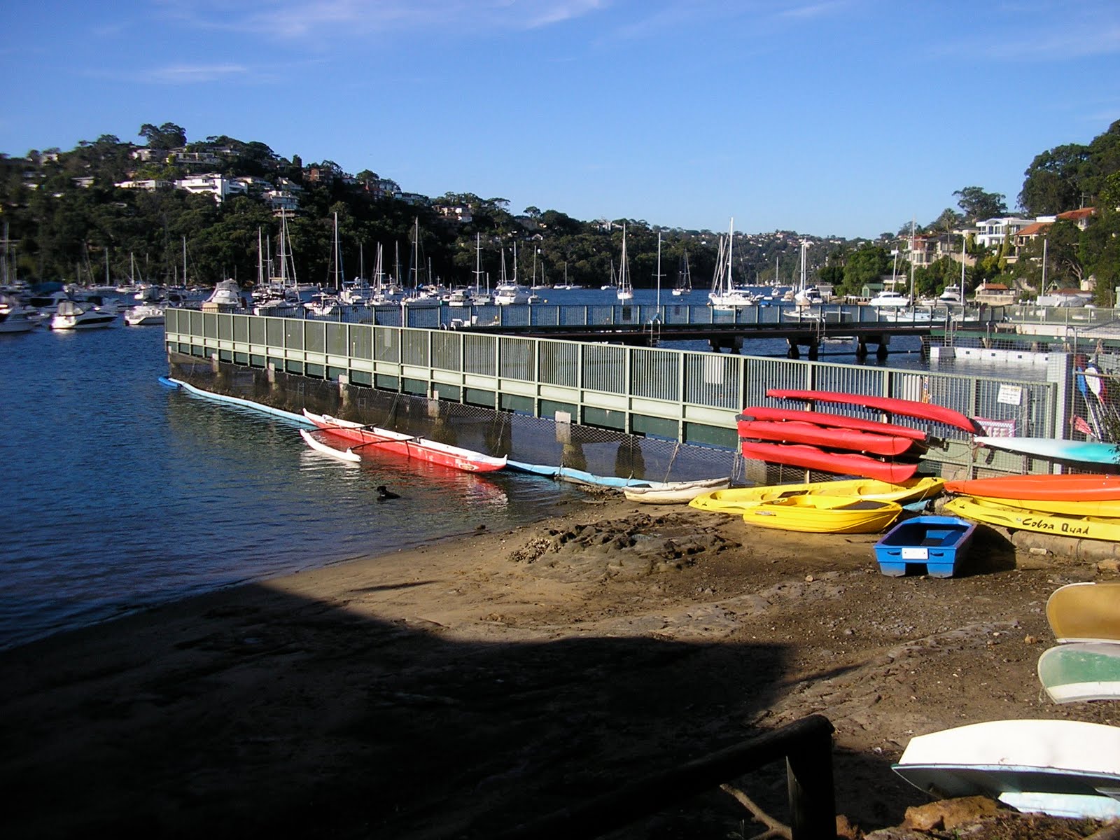 Lazy Swimmer: The Long Swim