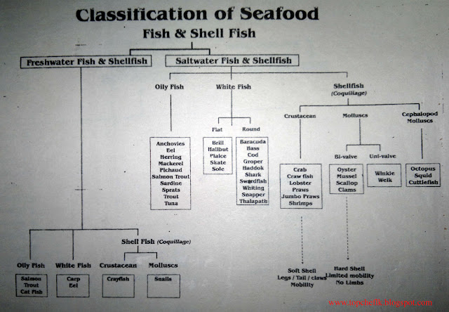 TOP CHEF: Seafood Classification