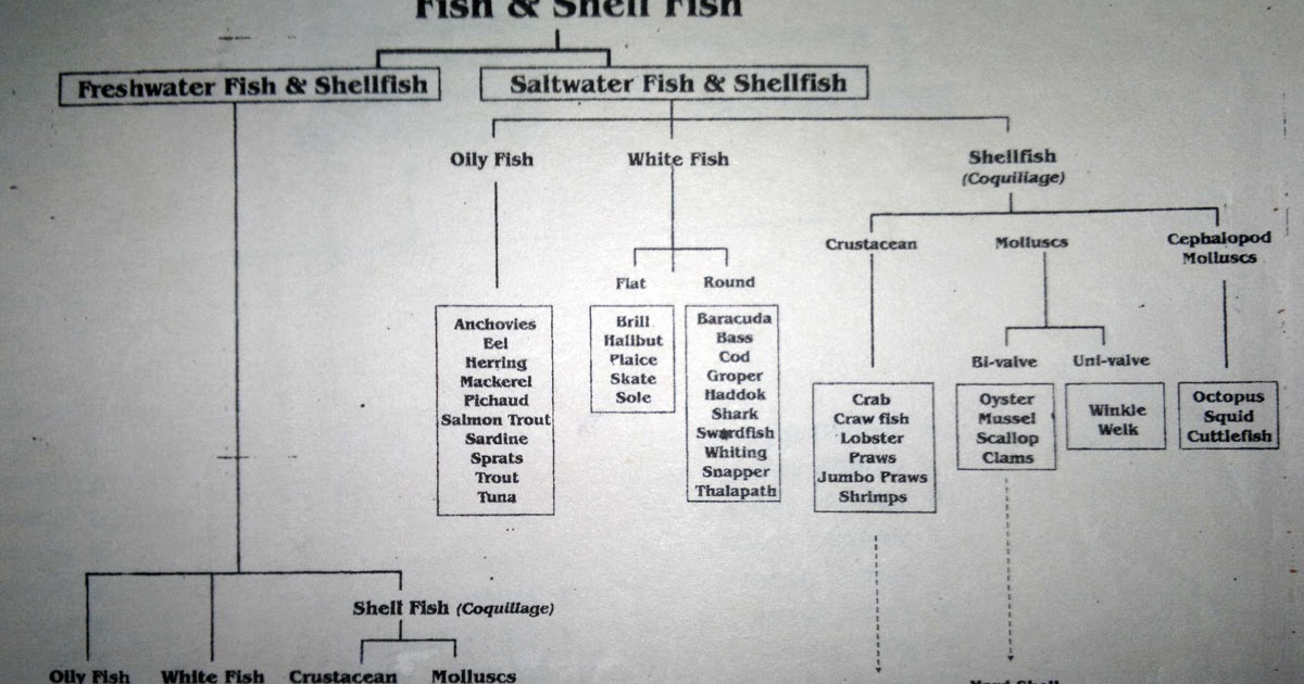 TOP CHEF: Seafood Classification
