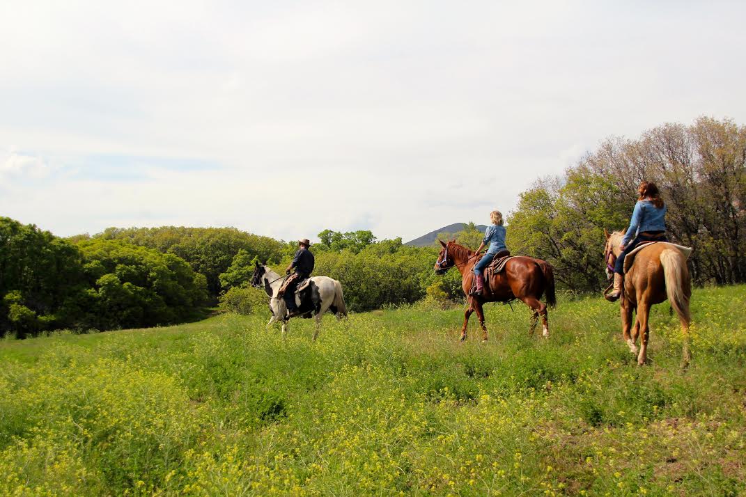 I Heart Salt Lake: Western Trail Rides at This Is The Place Heritage Park