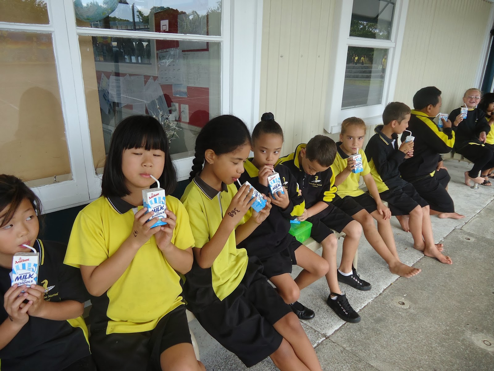 Room 8 Year 4 - Sunnybrae Normal School