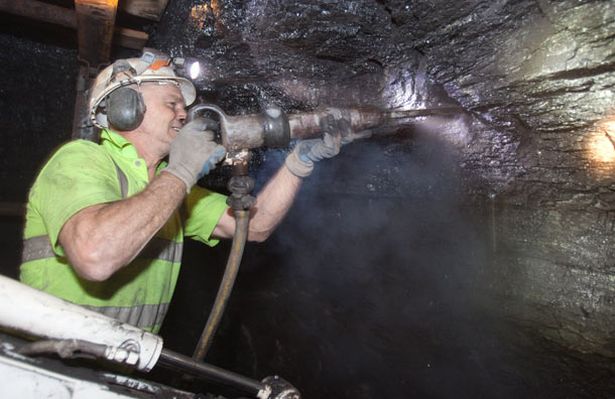 French Vocabulary Illustrated: forer